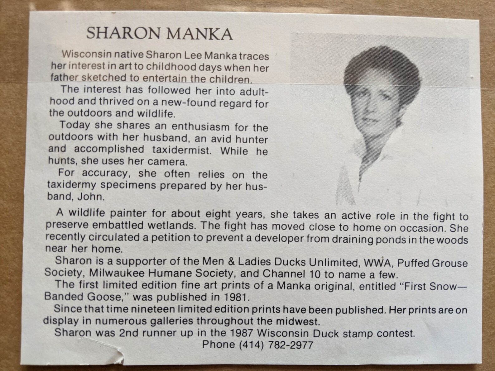 Wood Ducks - Signed, Limited Edition Lithograph, Sharon Manka - Etsy