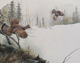 Mike Casper Prints - Etsy