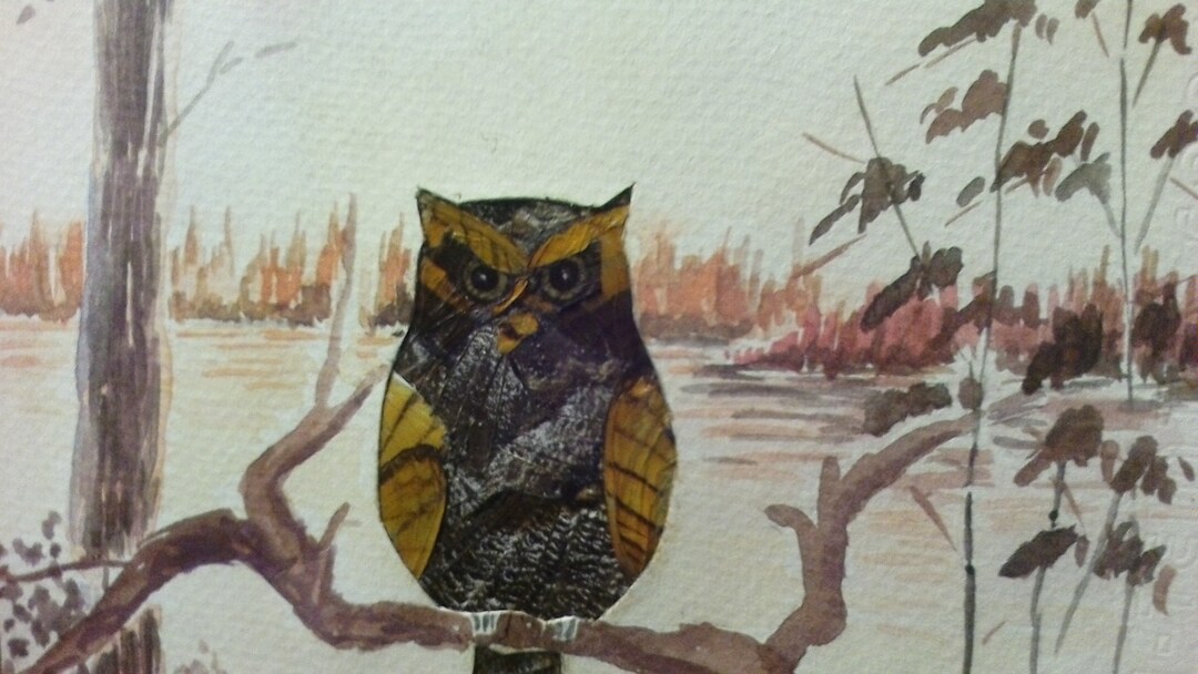 Woodsie Owl Mixed Media Butterfly Wing Watercolor, Chuck Kondor - Etsy
