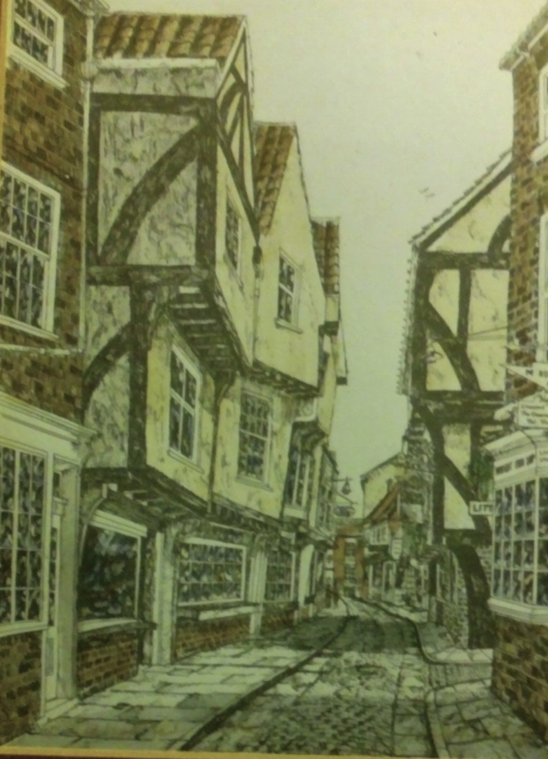 The Shambles, York Signed, Hand Tinted Print, D A Heald - Etsy Ireland
