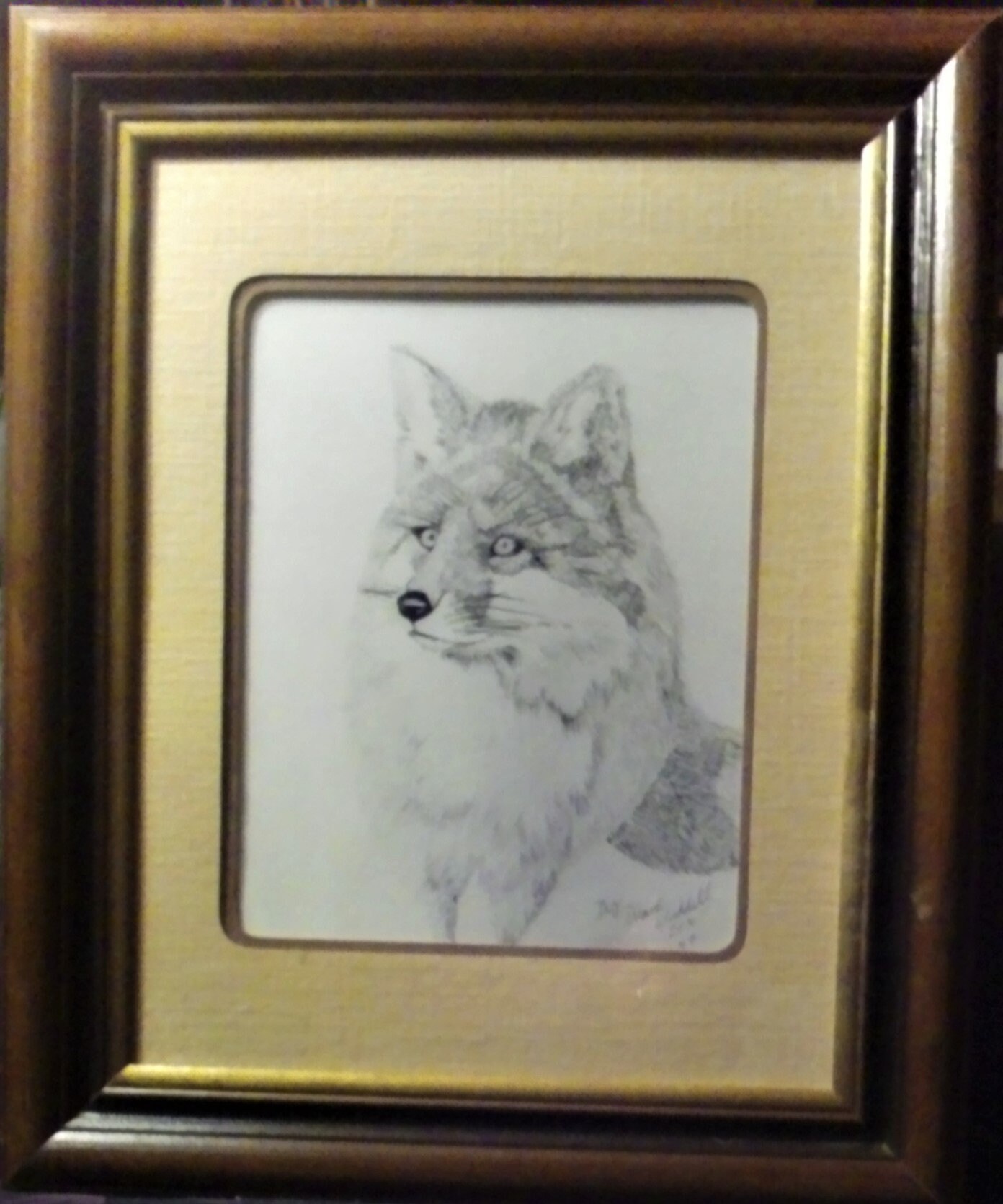 Wolf Pup Pen and Ink Drawing, Duane Waddell - Etsy