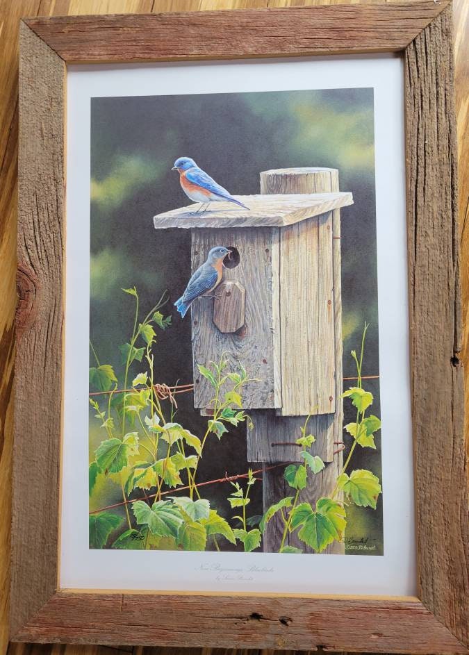 New Beginings Bluebirds Signed, Limited Edition Lithograph, Susan ...