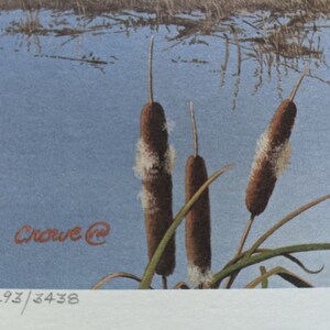 Blue Winged Teal - Signed, Limited Edition Lithograph, With Stamp ...