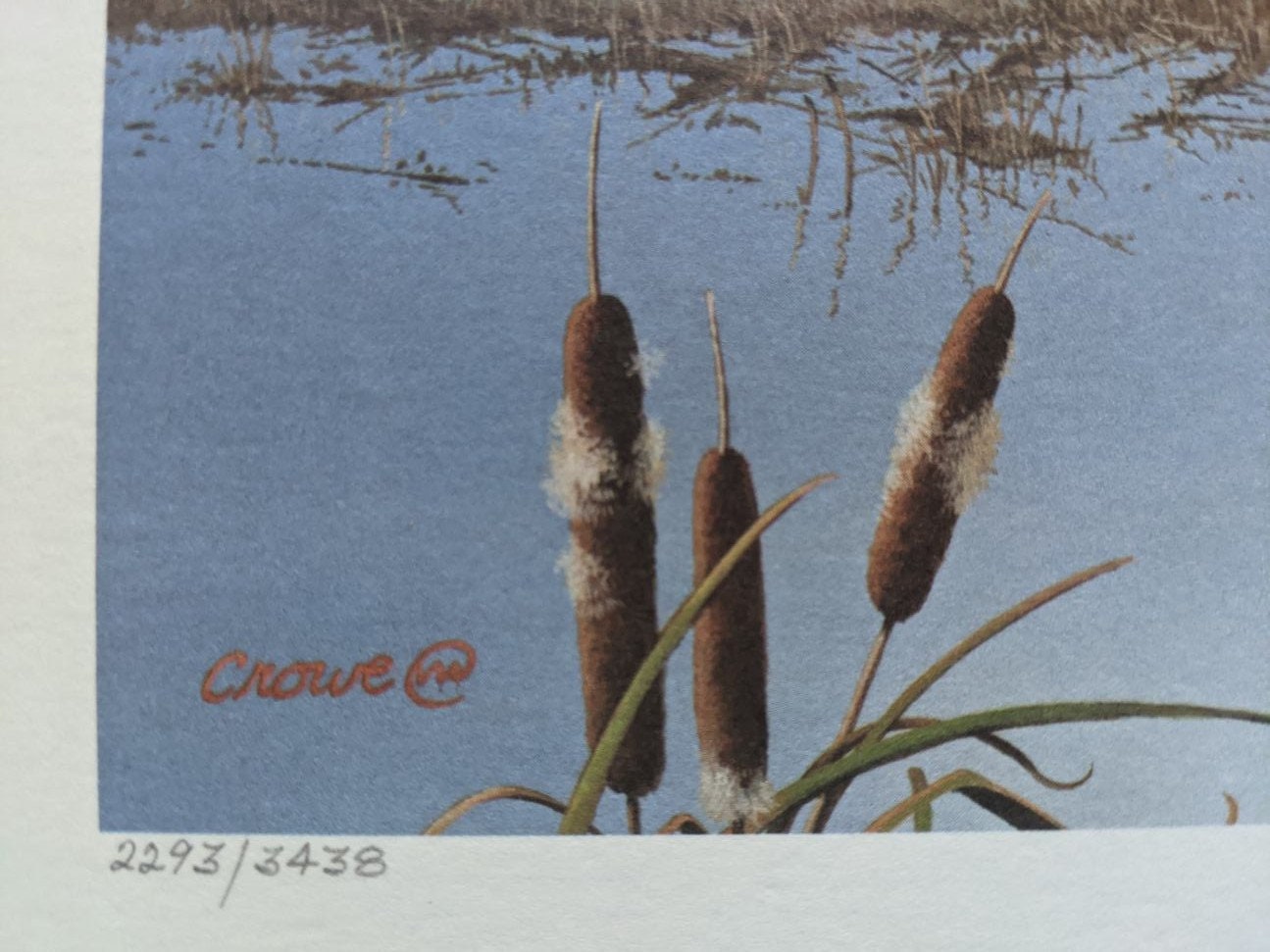 Blue Winged Teal Signed, Limited Edition Lithograph, With Stamp ...