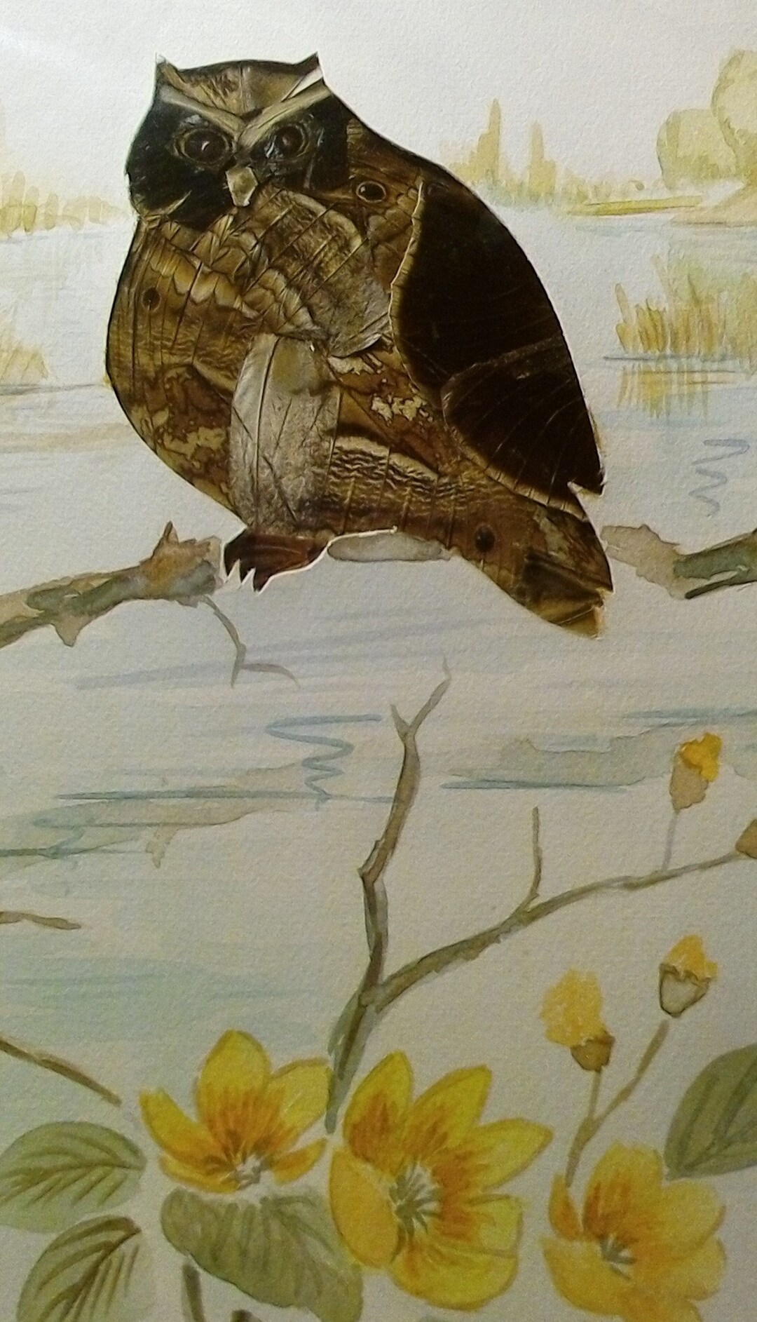 Big Brown Owl - Mixed Media - Butterfly Wing Watercolor, Chuck Kondor ...