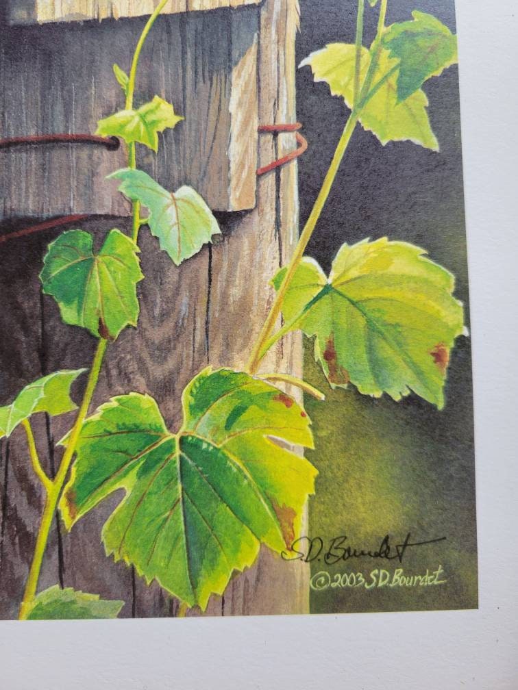 New Beginings Bluebirds Signed, Limited Edition Lithograph, Susan ...