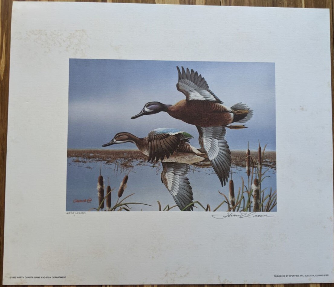Blue Winged Teal Signed, Limited Edition Lithograph, With Stamp ...