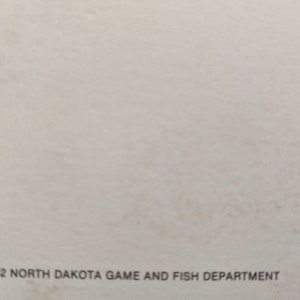 Blue Winged Teal - Signed, Limited Edition Lithograph, With Stamp ...