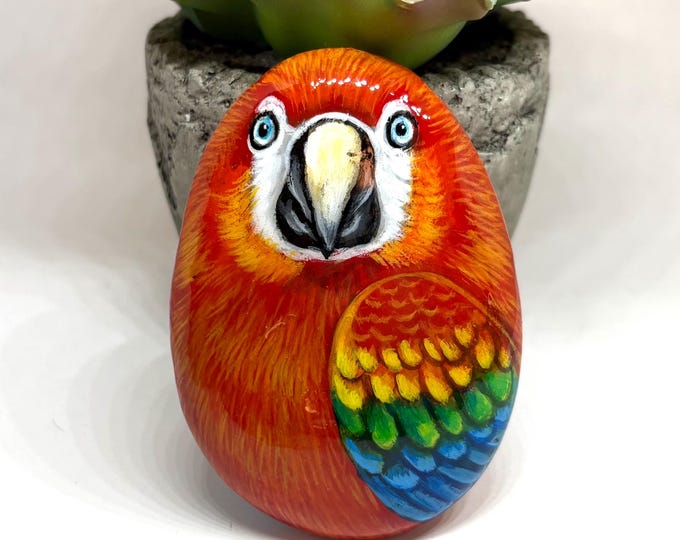 Scarlet Macaw Painted Rock, Parrot Rock, Unique Painted Stone Gifts for ...