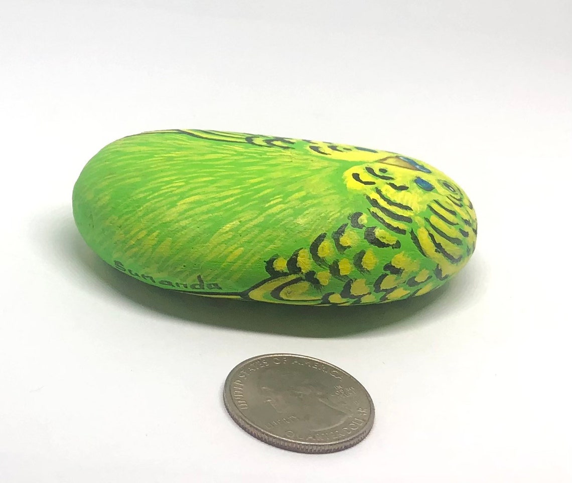 Green Parakeet Painted Rocks Unique Painted Stone Gifts for - Etsy