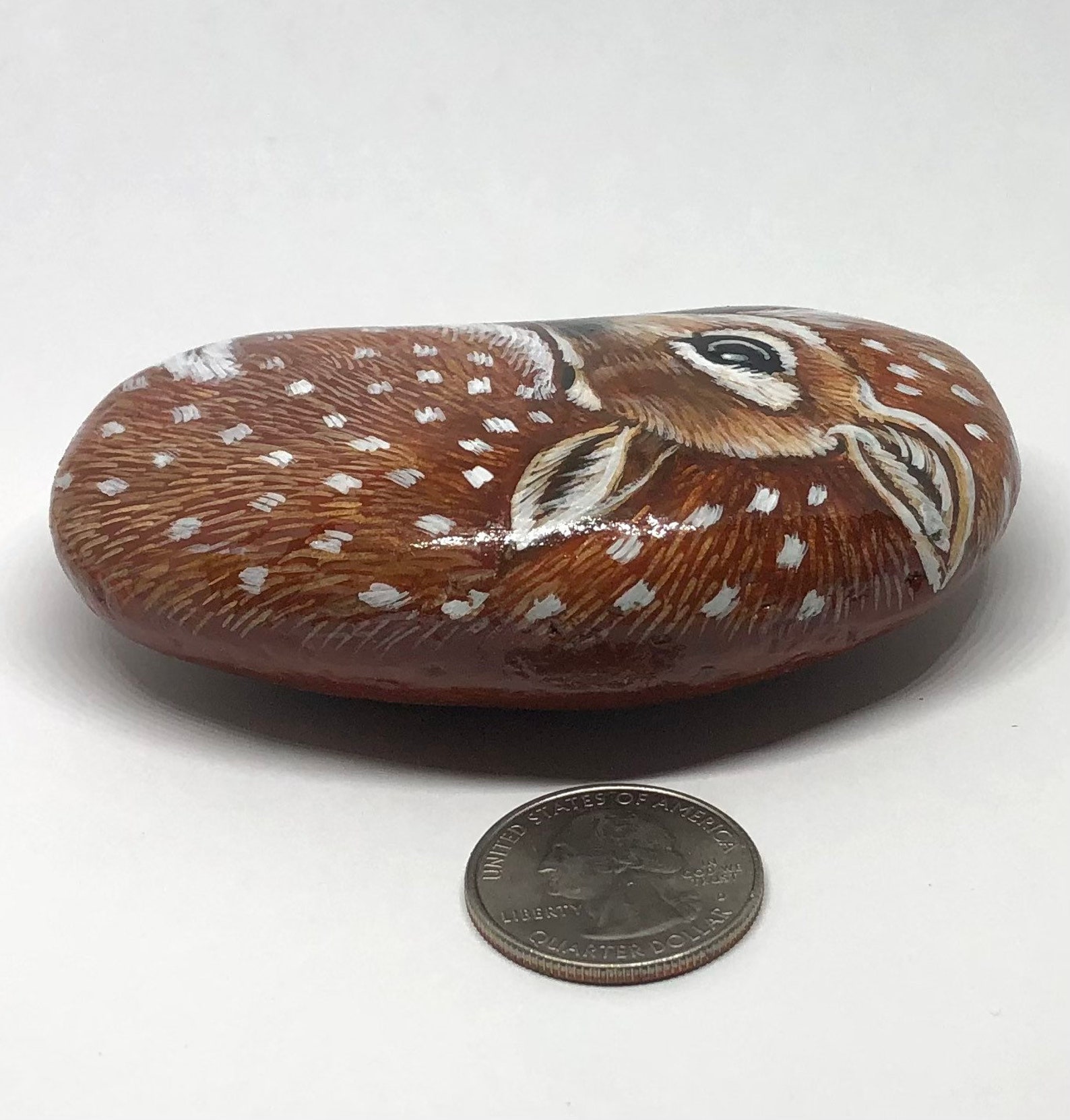 Fawn Painted Rock Unique Deer Painted Stones for Gift and - Etsy