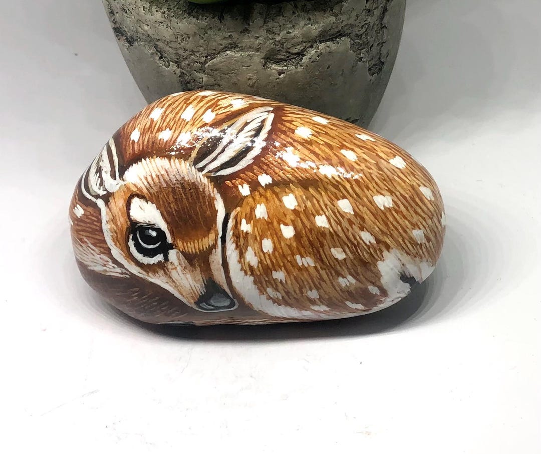 Fawn Painted Rock, Unique Deer Painted Stones for Gift and Home Decor ...