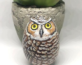 Painted Owl Rocks - Etsy