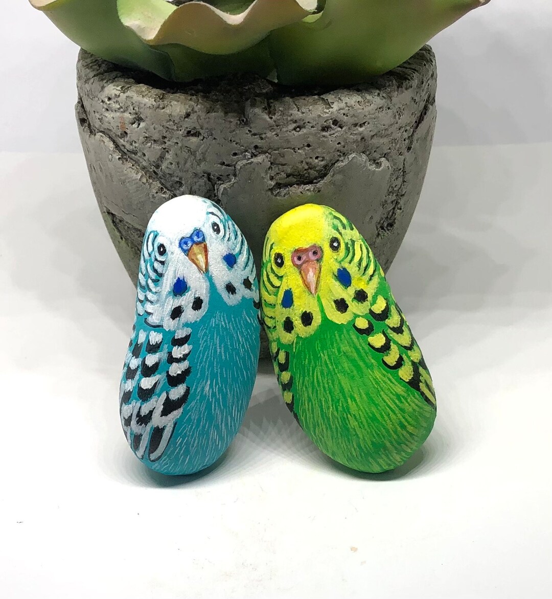 Green and Blue Parakeet Painted Rocks Unique Painted Stone - Etsy