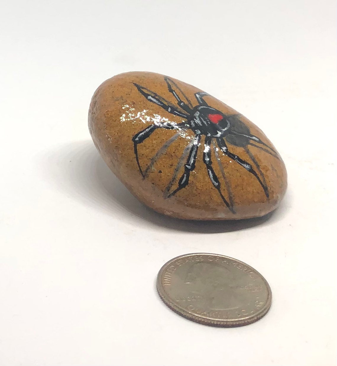 Spider Painted Rocks Hand Painted Stones for Home and Garden - Etsy