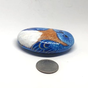 Hand Painted Cute Eastern Bluebird Painted Rock Unique - Etsy