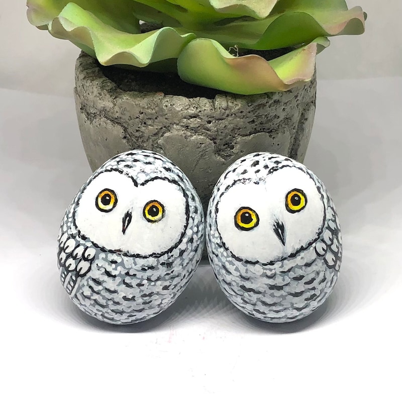 Painted Owl Rocks - Etsy