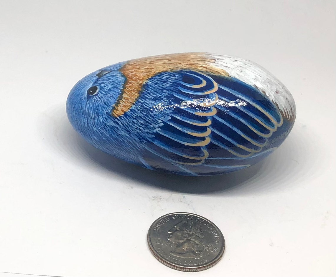 Eastern Bluebird Painted Rock Unique Painted Stone Gifts for - Etsy