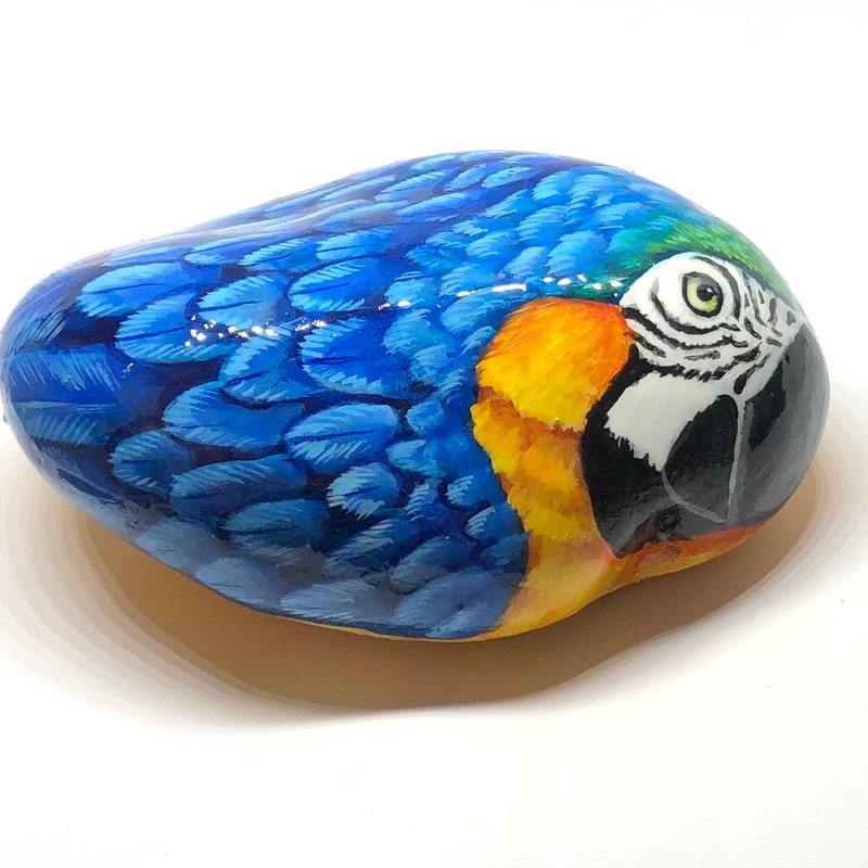 Hand Painted Parrot - Etsy