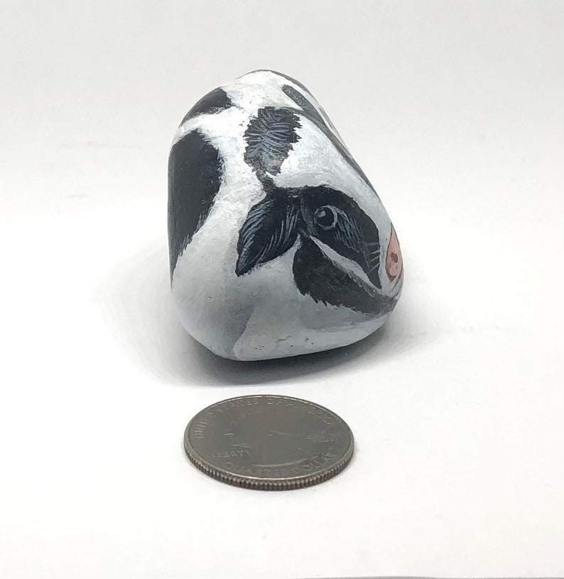 Cow Painted Rocks Farm Animal Painted Stones for Home Decor - Etsy