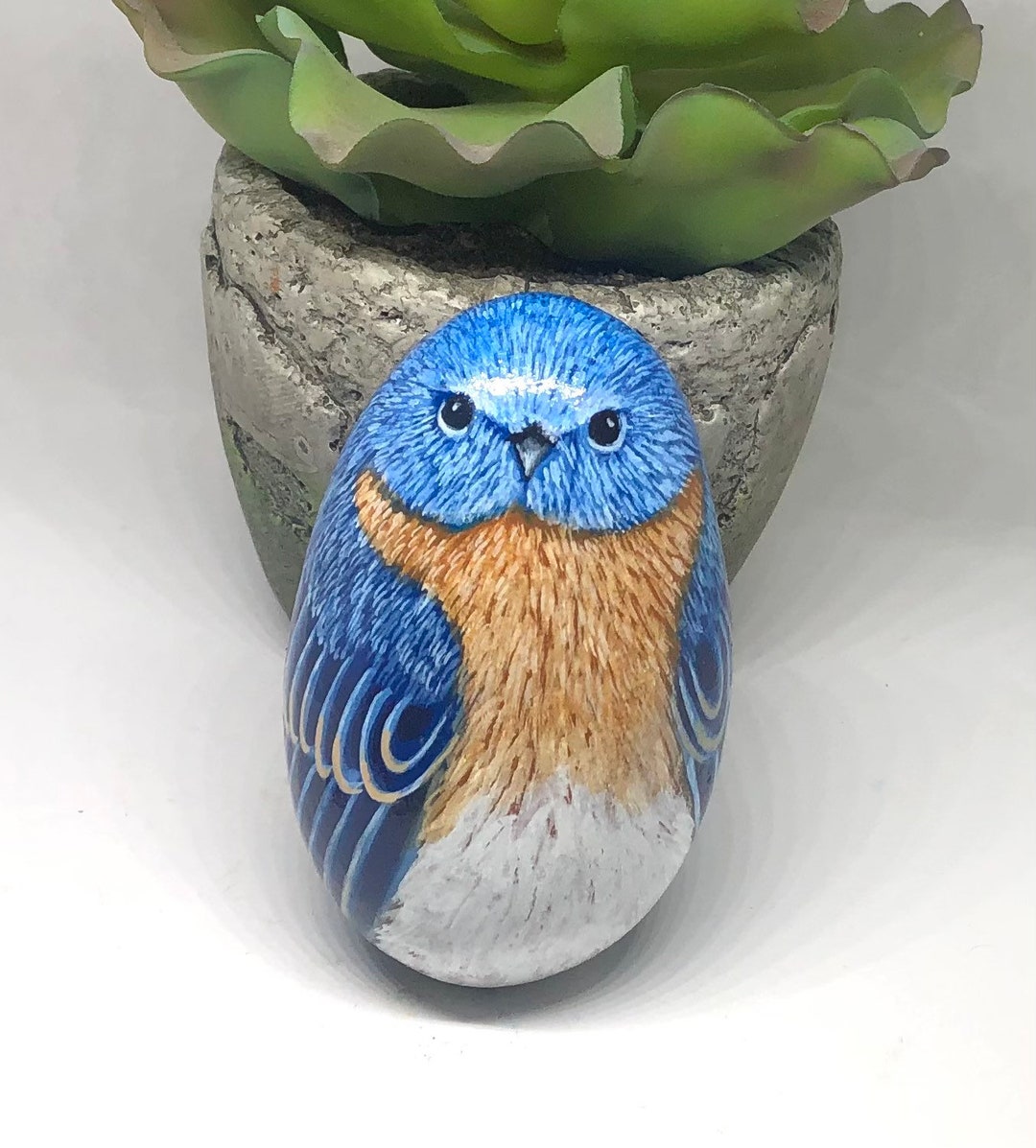 Eastern Bluebird Painted Rock Unique Painted Stone Gifts for - Etsy