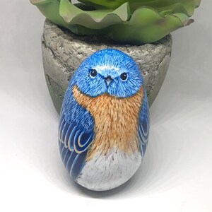 Eastern Bluebird Painted Rock Unique Painted Stone Gifts for - Etsy