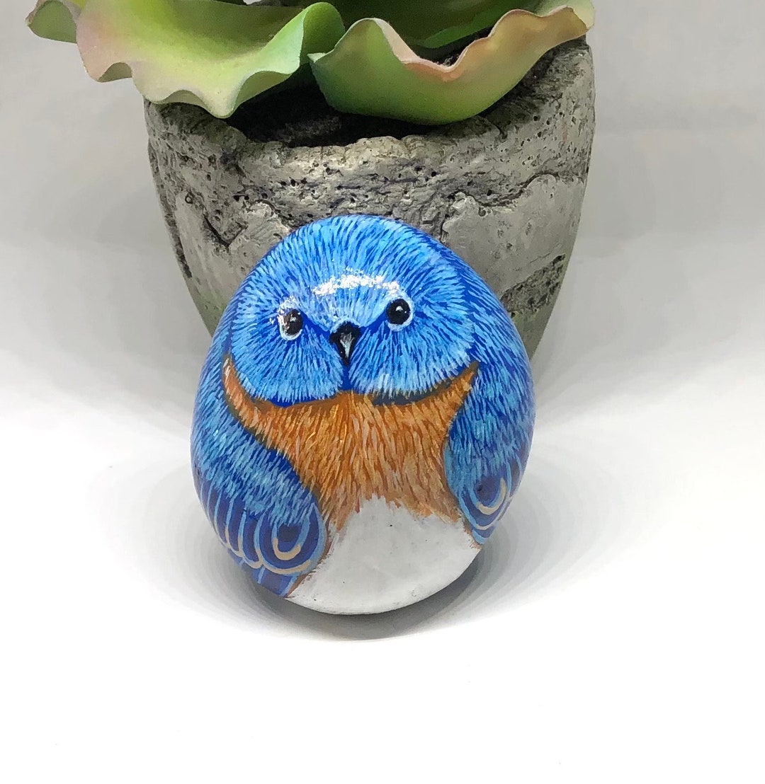 Hand Painted Cute Eastern Bluebird Painted Rock, Unique Painted Stone ...