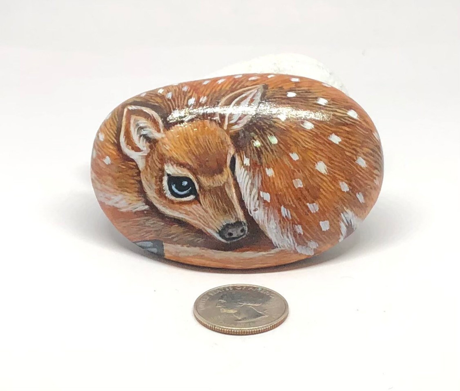 Fawn painted rock unique deer painted stones for gift and | Etsy