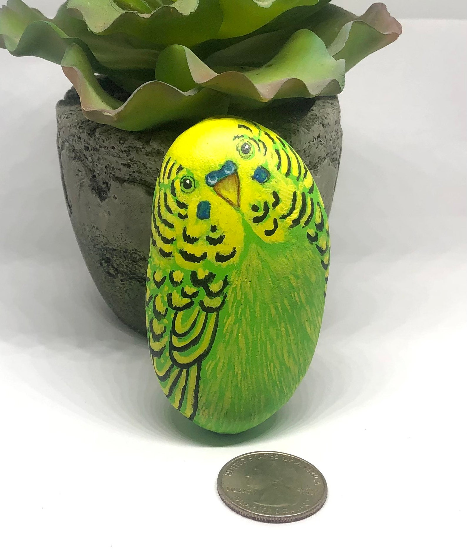 Green Parakeet Painted Rocks Unique Painted Stone Gifts for - Etsy