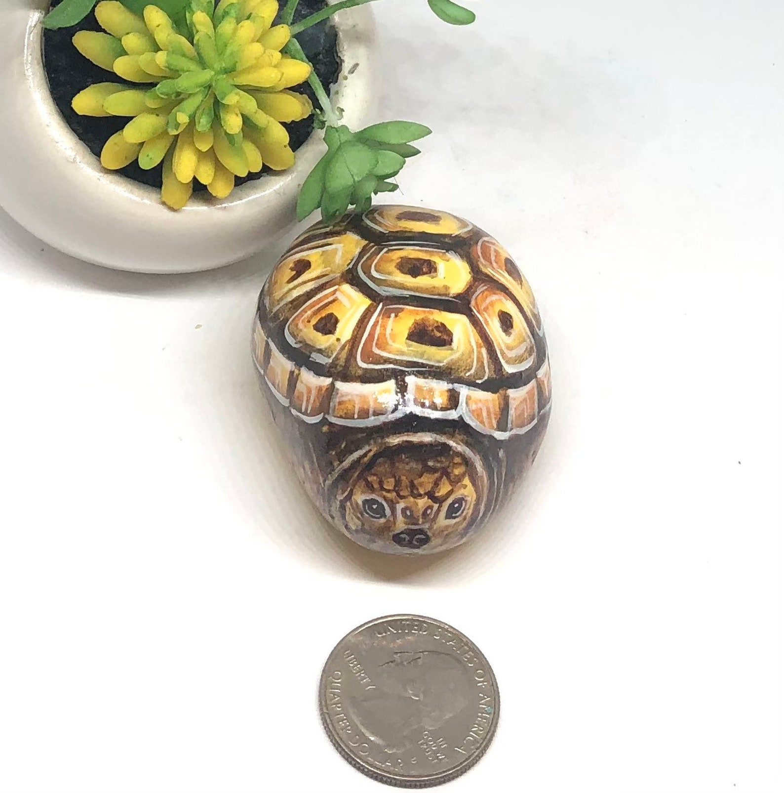 Baby Tortoise Painted Rocks for Garden Decor Unique Painted - Etsy