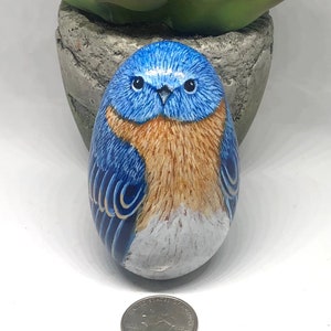Eastern Bluebird Painted Rock Unique Painted Stone Gifts for - Etsy