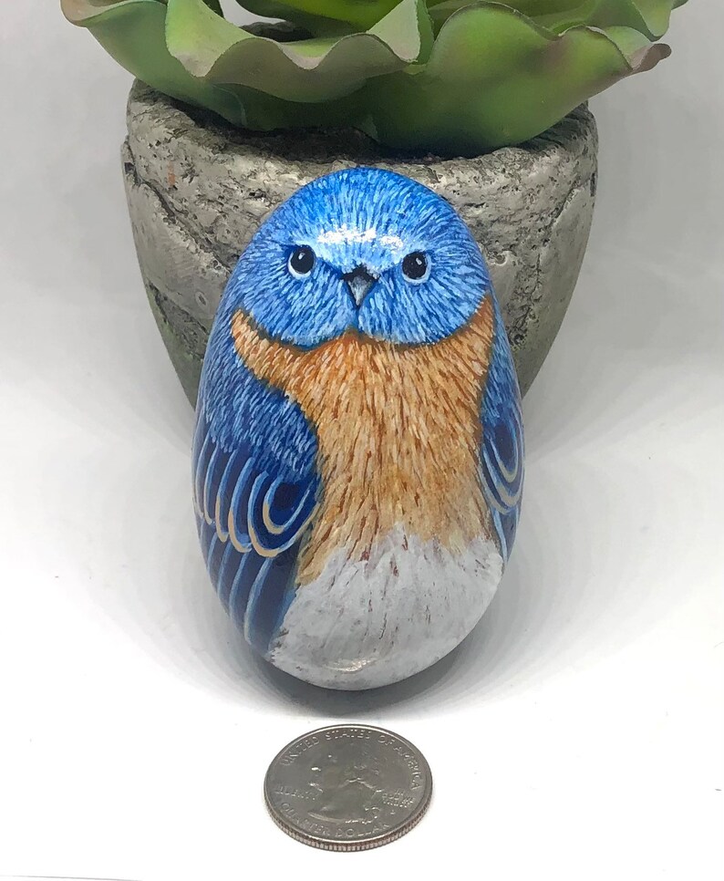 Eastern Bluebird Painted Rock Unique Painted Stone Gifts for - Etsy
