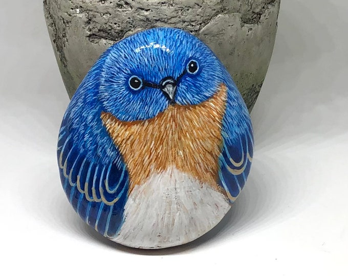 Fluffy Eastern Bluebird Painted on Smooth Rock, Special Backyard Bird ...
