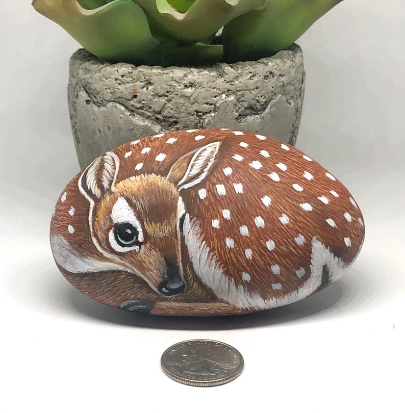 Fawn Painted Rock Unique Deer Painted Stones for Gift and - Etsy