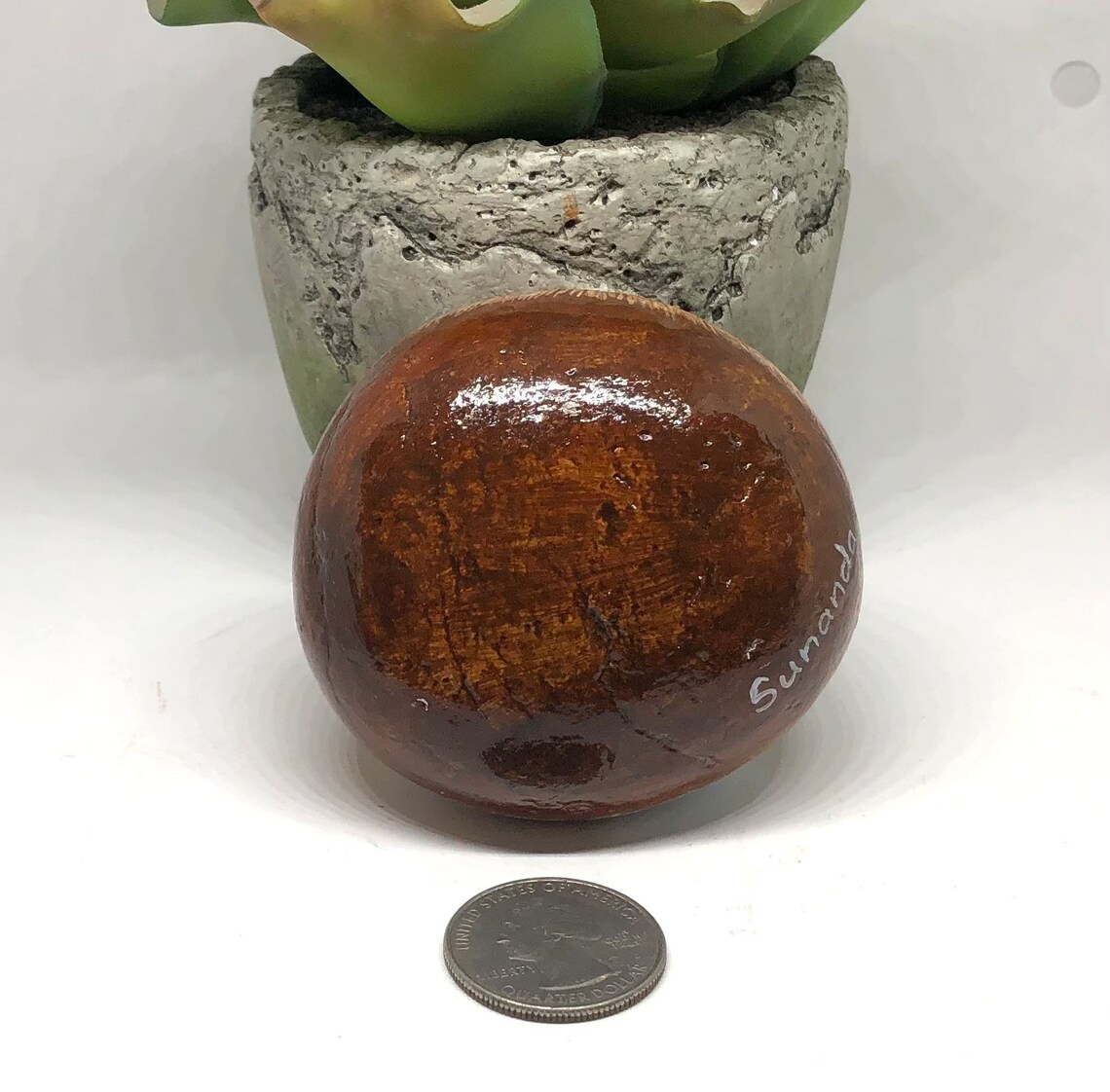 Red Fox Painted Rock Woodland Animal Paperweight Unique - Etsy