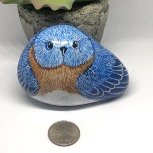 Eastern Bluebird Painted Rock, Unique Painted Stone Gifts for Her ...