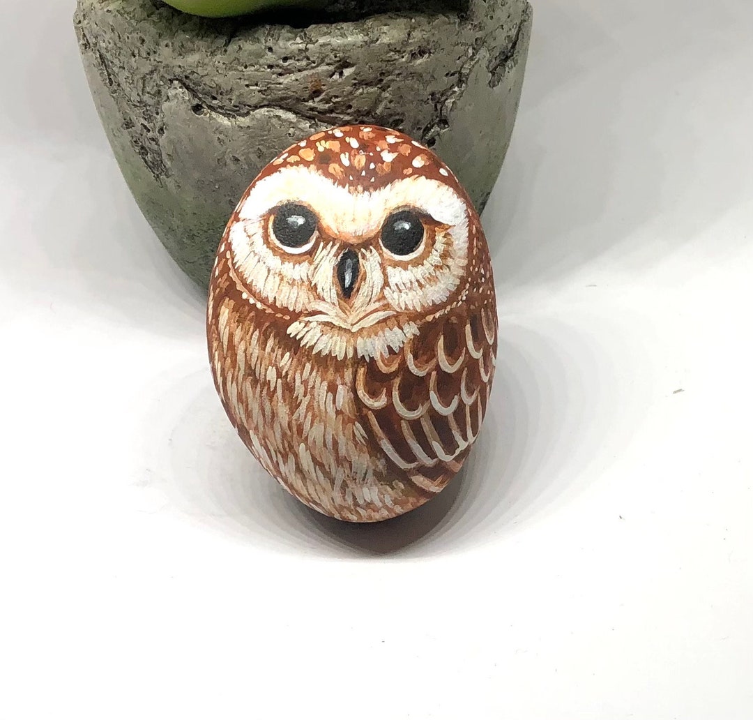 Cute Owl Painted Rock Art, Unique Owl Gifts and Room Decor, Painted ...