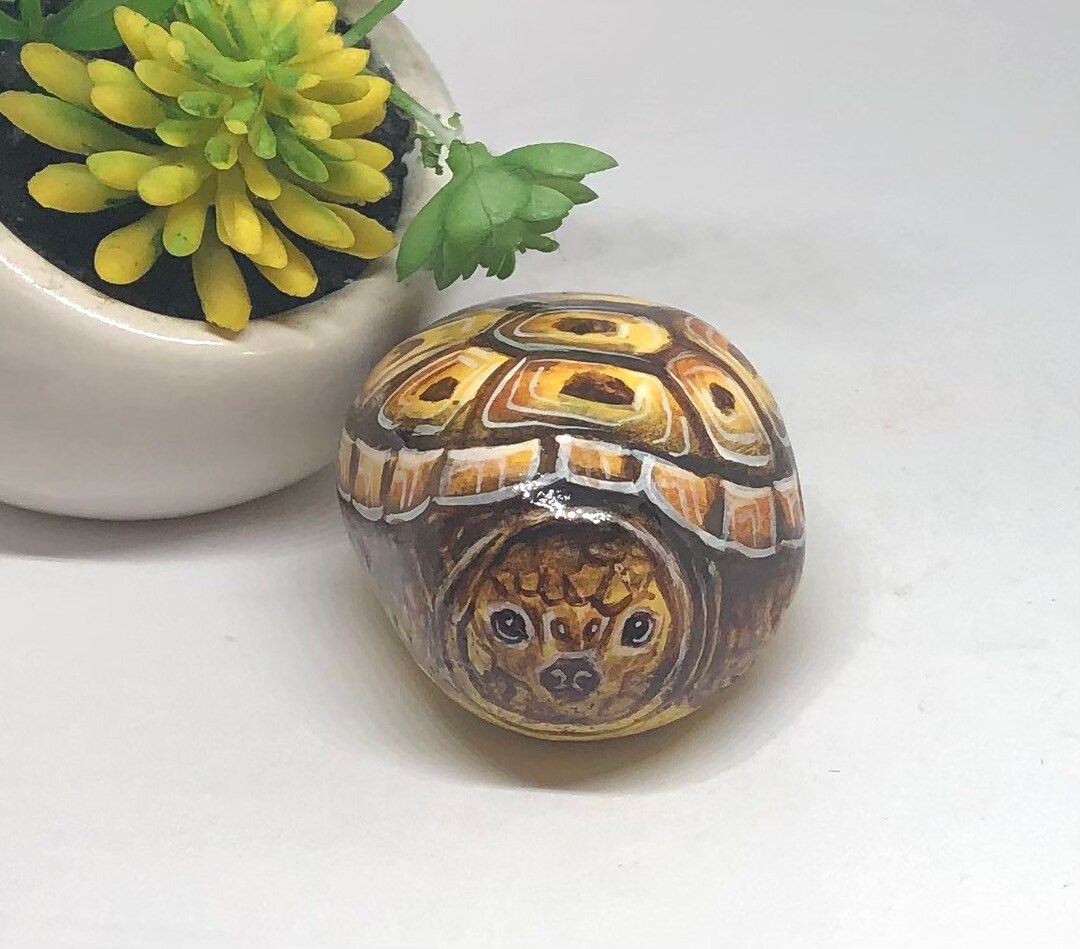 Baby Tortoise Painted Rocks for Garden Decor Unique Painted - Etsy