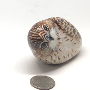 Red Tailed Hawk Painted Rocks Unique Bird Painted Stones - Etsy