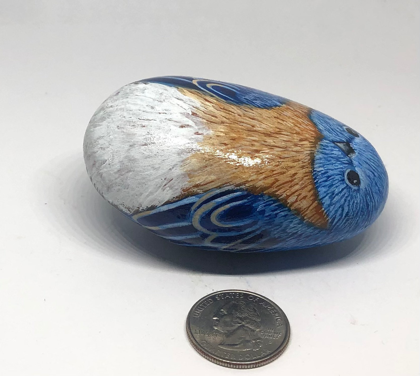 Eastern Bluebird Painted Rock Unique Painted Stone Gifts for - Etsy