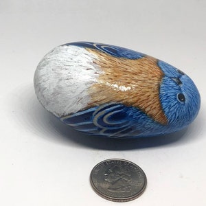 Eastern Bluebird Painted Rock Unique Painted Stone Gifts for - Etsy