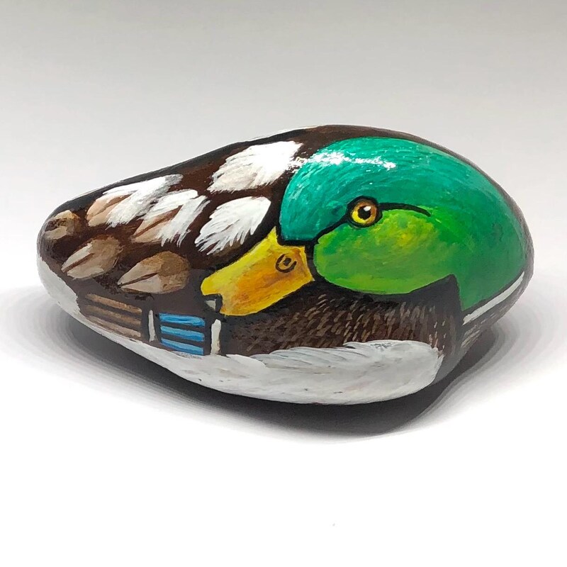 Painted Rocks Birds - Etsy