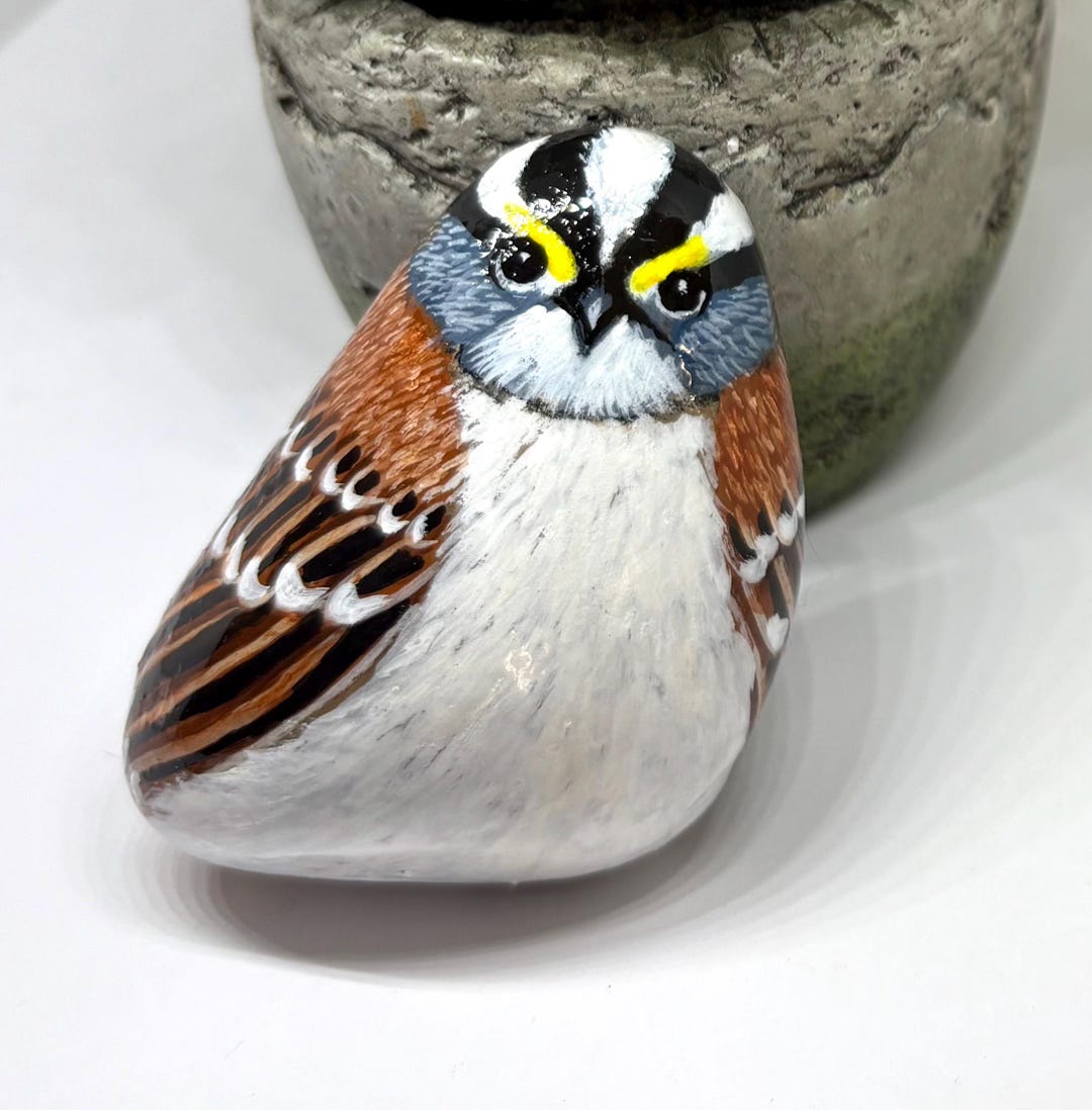 Sparrow Painted Rocks, Unique Bird Painted Stones, Christmas Gifts for ...