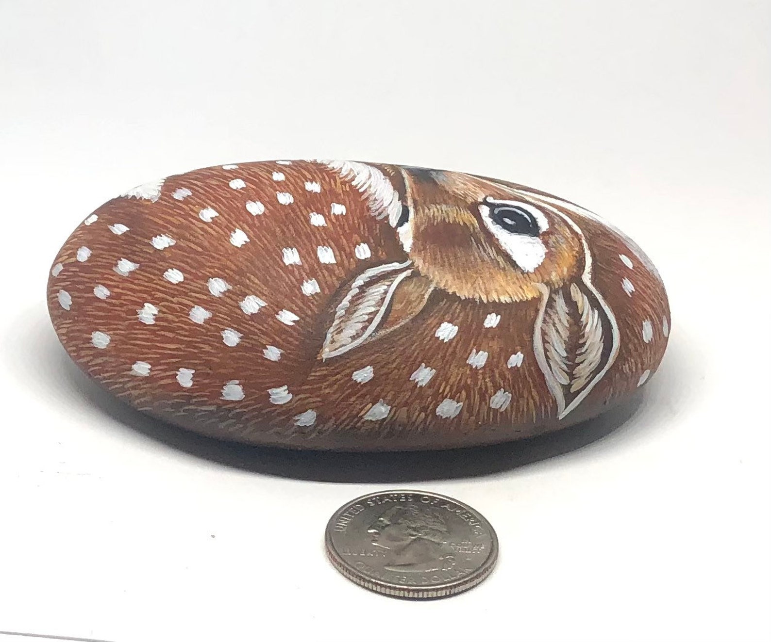 Fawn Painted Rock Unique Deer Painted Stones for Gift and - Etsy