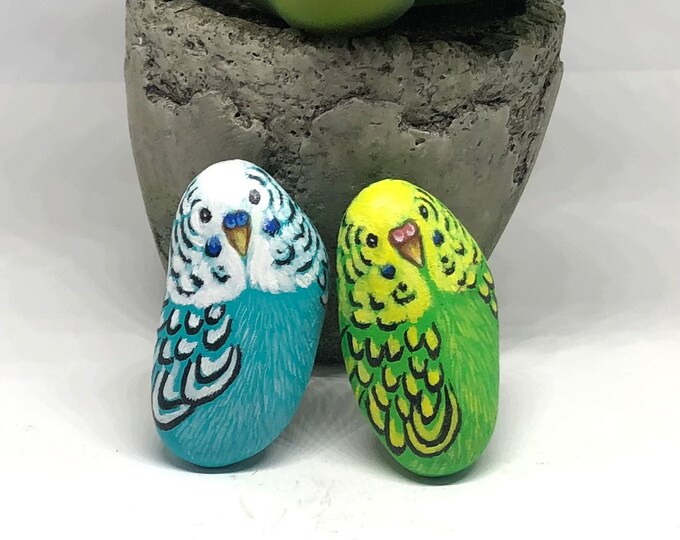 Green and Blue Parakeet Painted Rocks Unique Painted Stone - Etsy
