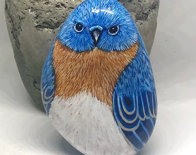 Eastern Bluebird Painted Rock Unique Painted Stone Gifts for - Etsy
