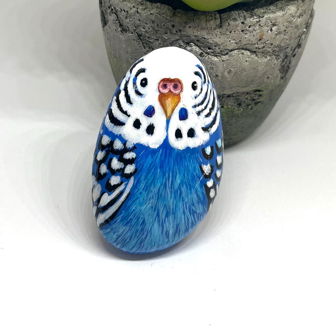 Blue Parakeet Painted Rocks for Gifts, Unique Painted Stone Gifts for ...