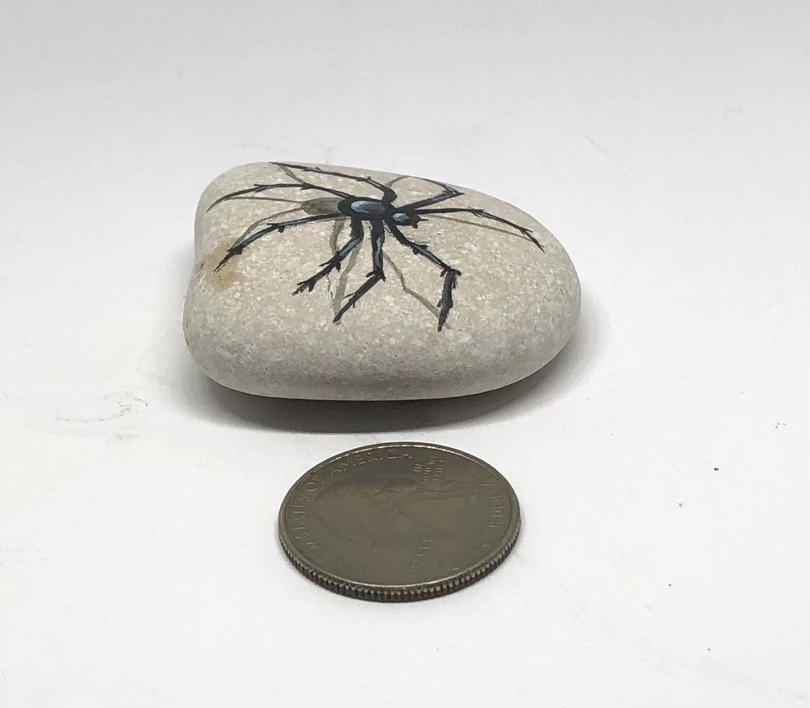 Spider Painted Rocks Hand Painted Stones for Home and Garden - Etsy