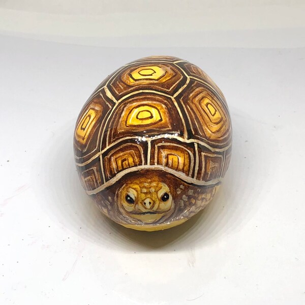 Painted Turtle Rock - Etsy