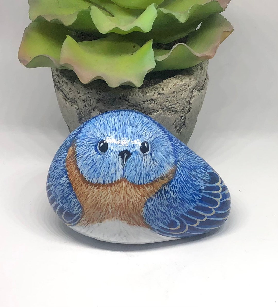 Eastern Bluebird Painted Rock, Unique Painted Stone Gifts for Her ...